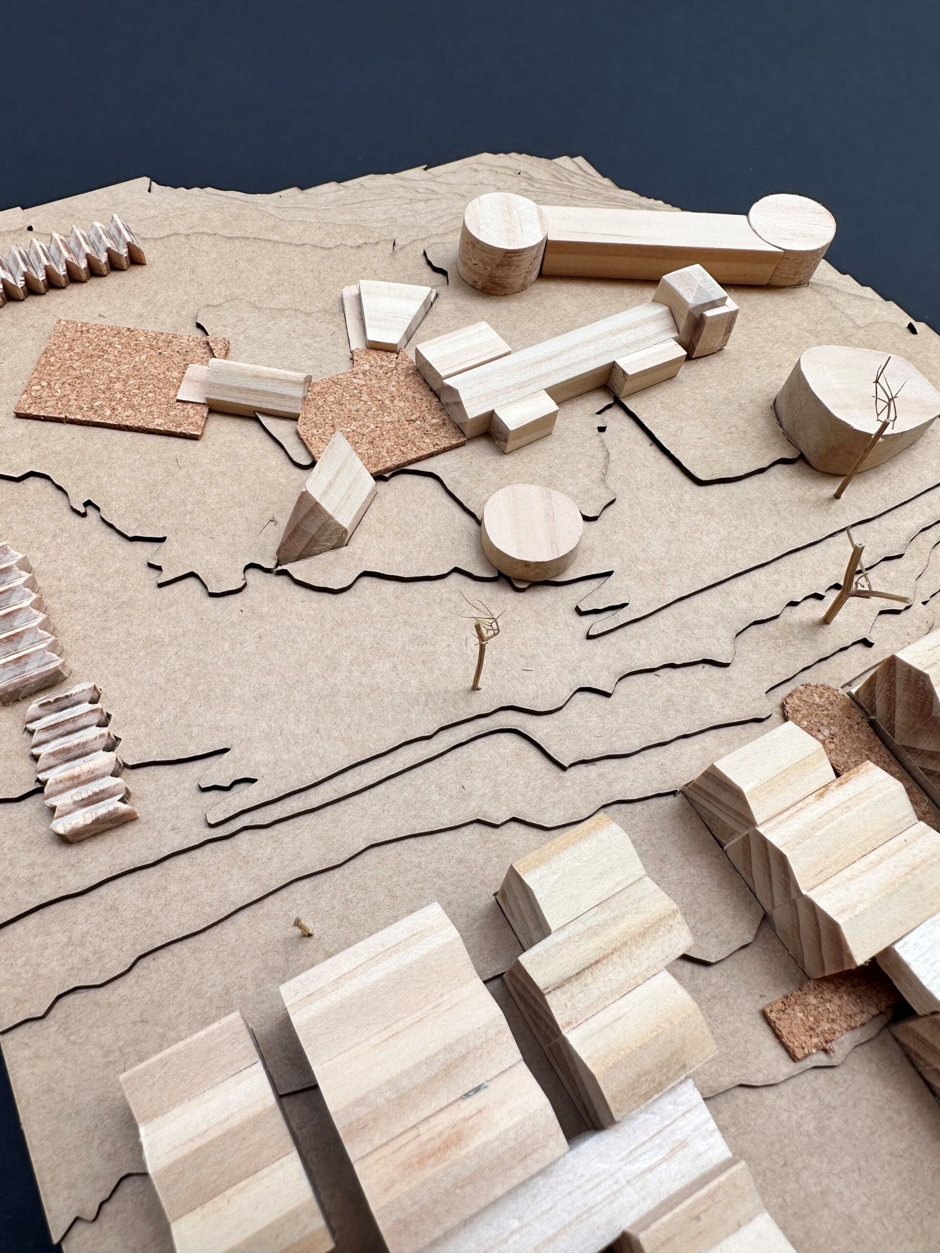 About Hāto Petera - Hāto Petera